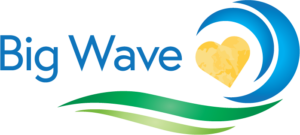 Home | Big Wave Project