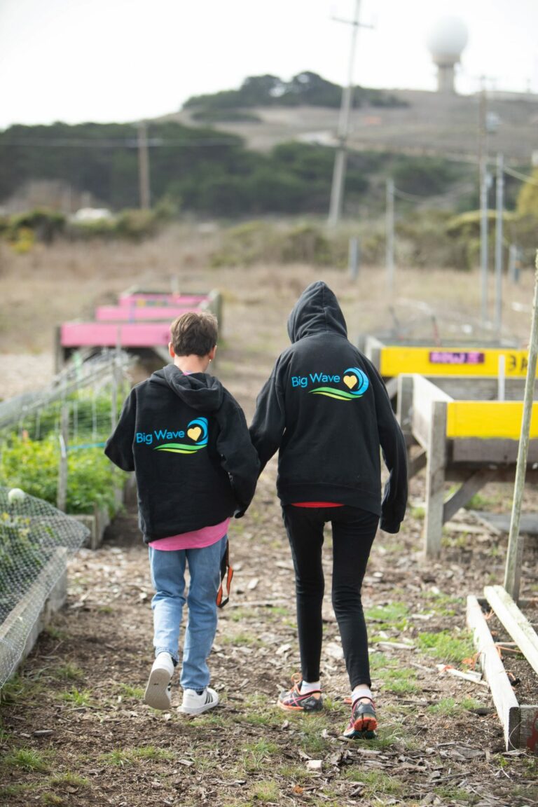 Home | Big Wave Project